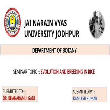 Evolution and breeding in rice crop.pptx