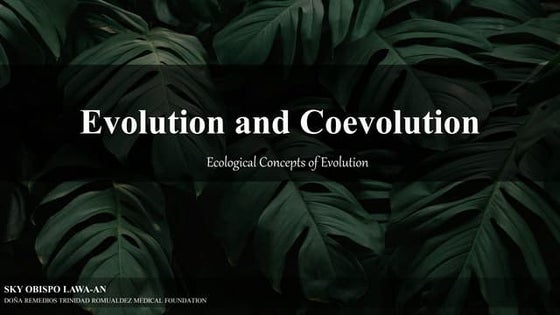 Patterns of Evolution ; Patterns of Evolution ; Patterns of Evolution | PPT