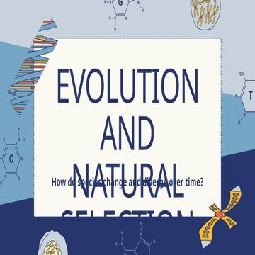 evolution and natural selection.ppt how human evolute with timex | PPTX