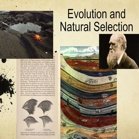 Evolution and natural selection 2015 | PPTX