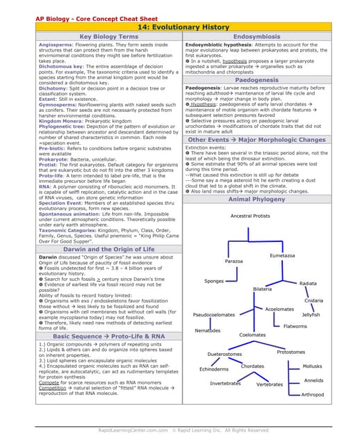 Evolution cheat sheet | PDF | Biological Sciences | Science