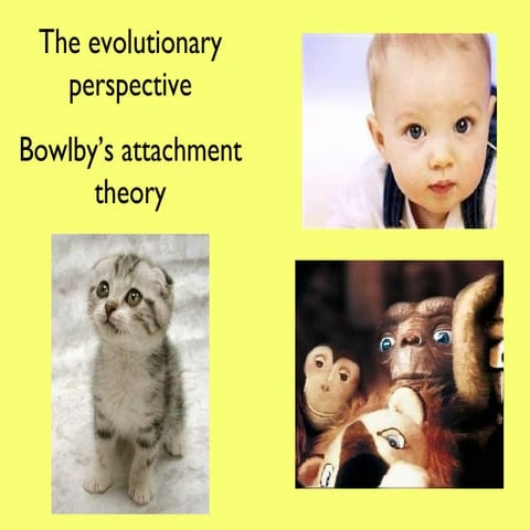 Evolutionary perspective | PPT