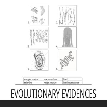Earth and Life Science - EVOLUTIONARY RELATIONSHIP | PPTX