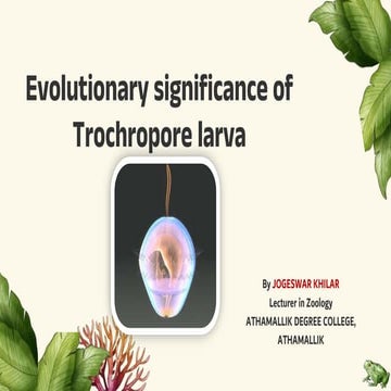 Trochophore larva | PPTX