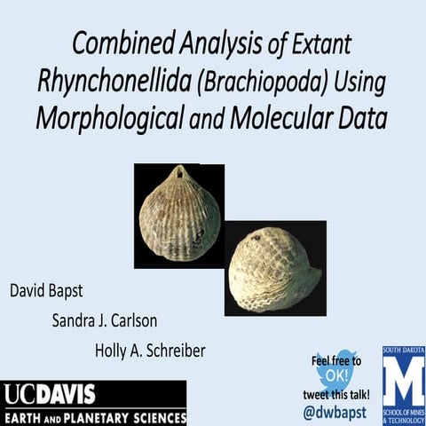 Combined Analysis of Extant Rhynchonellida (Brachiopoda) Using ...