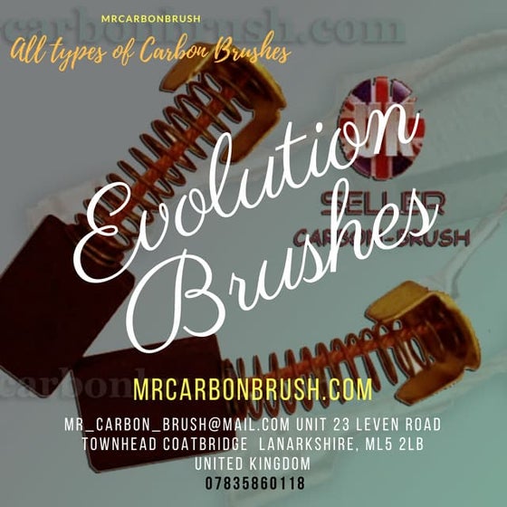 Evolution brushes | PDF