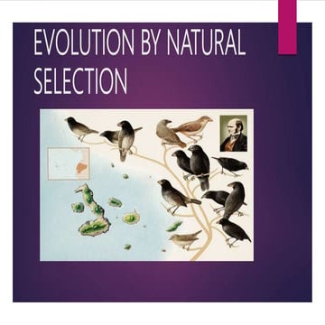Evolution Presentation: Homology | PPTX