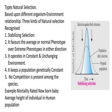 evolution class 12.pdf for class 12 biology | PDF