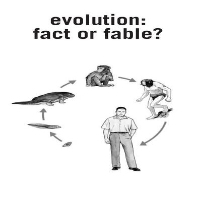 Evolution: Fact or Fable? | PDF