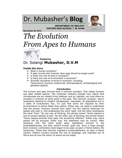 human evolution.pptx