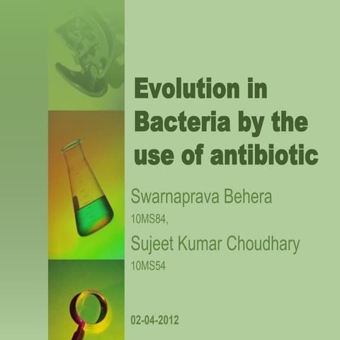 Evolution in bacteria by the use of antibiotic | PPT