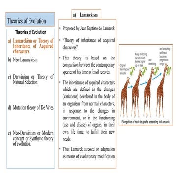 Evolution (Lecture 2) a concept in biology.pptx