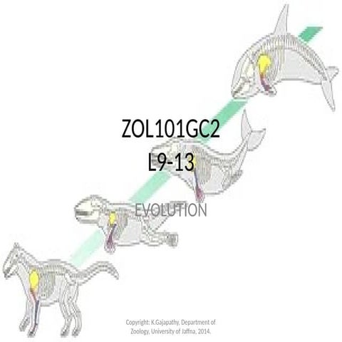 Basic Evolution lecture notes for beginners.pptx