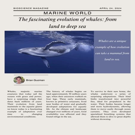 Evolution newspaper Guzman Malament Brian.pdf