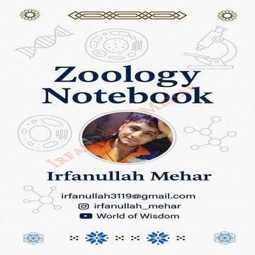 10.1002-pol.20250479Figurepola31784fig0001.pptx.ppt