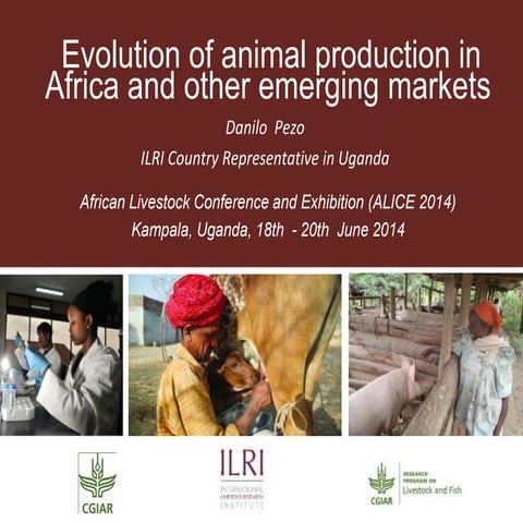 Evolution of animal production in africa and other emerging markets | PDF