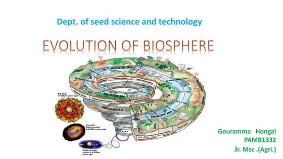 Geological time scale and plant life through ages | PDF | Geology | Science