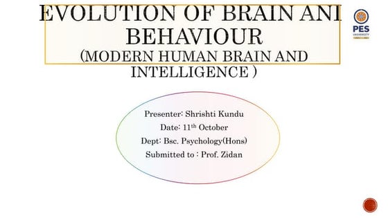 Brain and intelligence evol | PDF