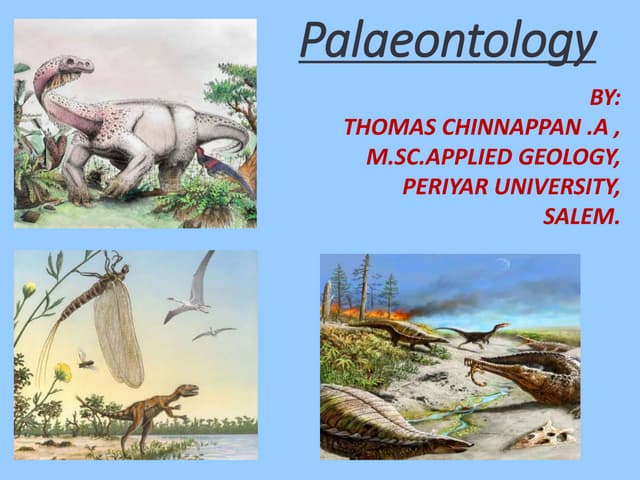 EVOLUTION OF ELEPHANT.pptx