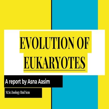 evolution of eukaryotes.pptx