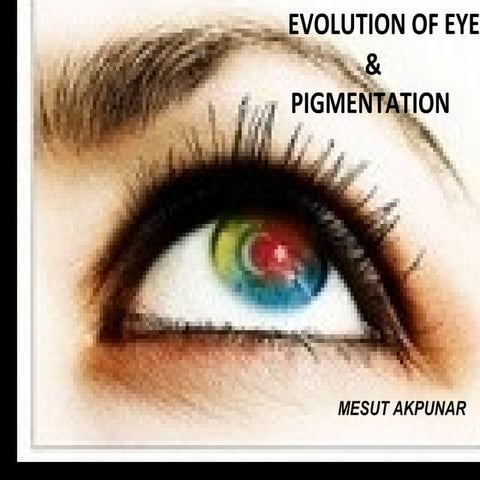Evoluti̇on of eye & Pigmentation | PPT