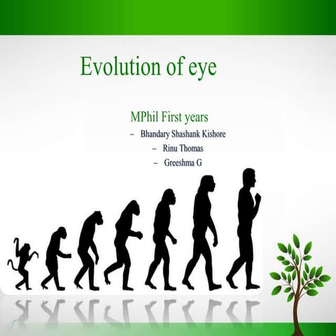 Evolution of EYE | PPTX