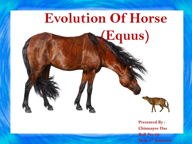 EVOLUTION OF HORSES PPT.pptx
