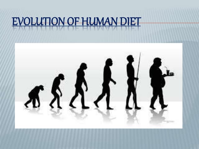 Evolution Of Human Diet Ppt