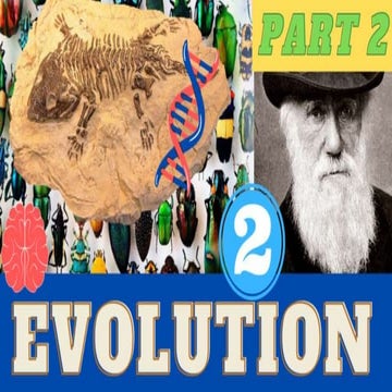 The Evolution of Insects: PART TWO / Permian to Anthropocene - Bug ...