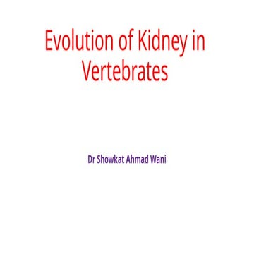 Evolution of Kidneys in vertebrates.pptx