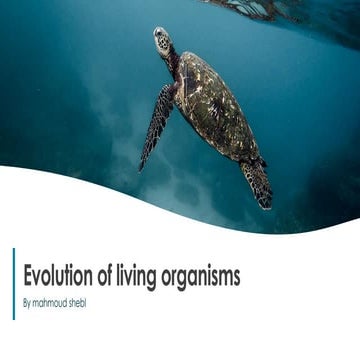 Evolution of living organisms | PDF