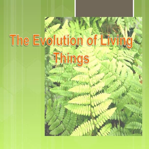 Evolution Notes | PPT