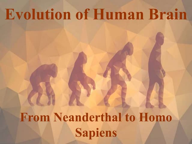 Early humans ppt | PPT