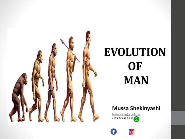 human evolution | PPTX