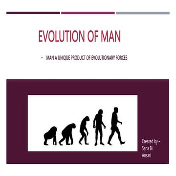 Evolution of man by Sana Bi Ansari M.Sc. I year.pptx