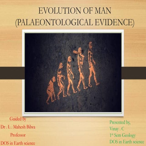 Human evolution