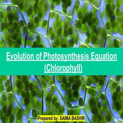 Evolution of Photosynthesis Equation (Chlorophyll) (1).pptx