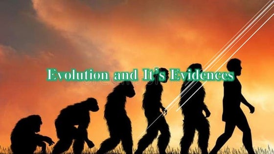 Darwin’s theory of evolution | PPT