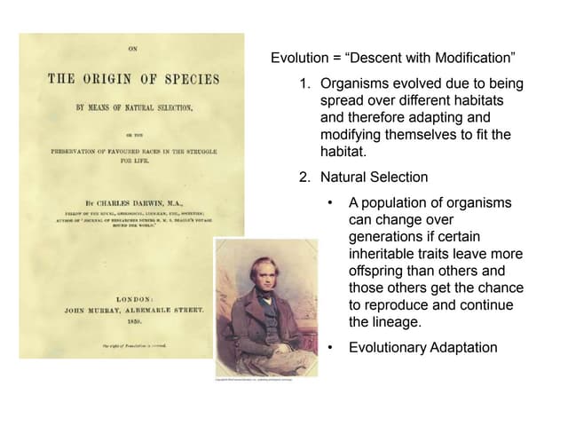 Darwin, Evolution, & Natural Selection (Intro)