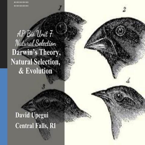 Evolution and genetics review presentation AP 2020 | PPTX