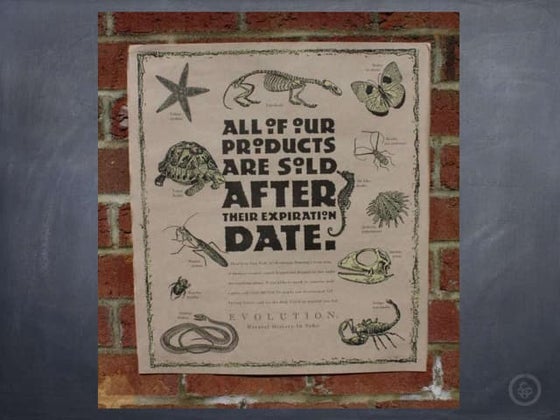 Travel new zealand | PPT