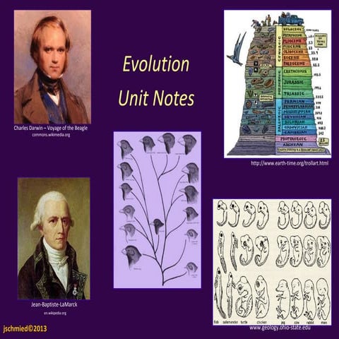 Evolution unit notes | PPTX | Geology | Science