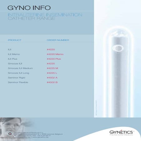 Evolution Vision | PDF