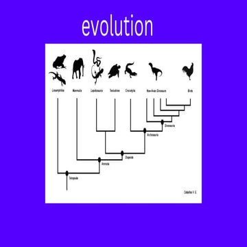 evolution what would happen in future .pdf
