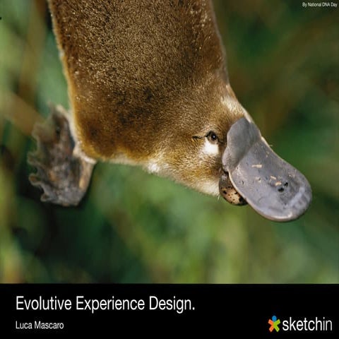 Evolutive User Experience Design | PDF | Computing | Technology & Computing