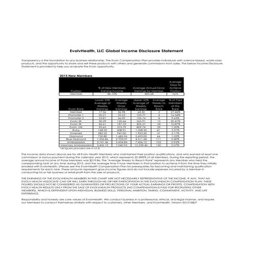 Income Disclosure Sheet | PDF | Business | Business and Finance