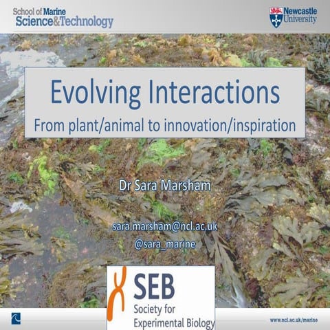 Evolving interactions: from plant/animal to innovation/inspiration | PPT