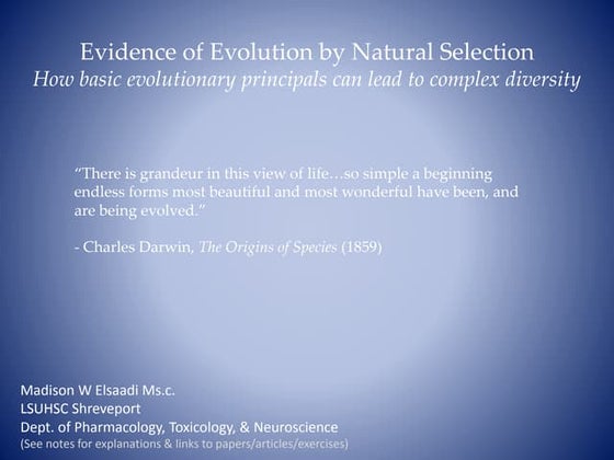 Mechanisms of evolution-I | PPT