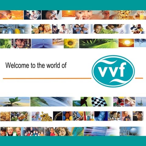VVF Ltd- Global EVP | PDF