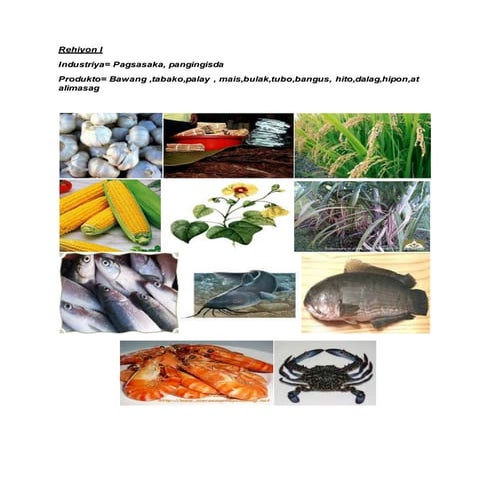 hekasi mga produkto sa bawat rehiyon | DOCX